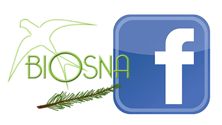 Wielki Świąteczny Lili Konkurs – LILINATURA