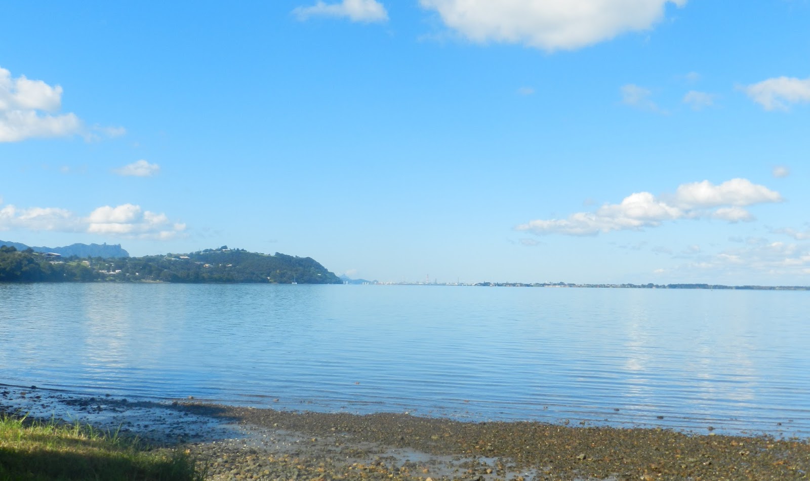 The Paddock: Pataua south