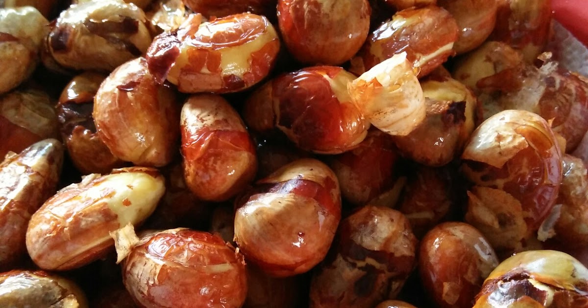 Sedap Tak Biji Cempedak Goreng?