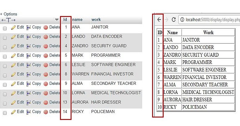 Free Programming Source Codes And Computer Programming Tutorials Automatic Id Numbering
