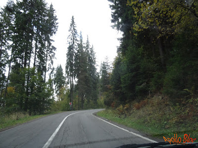 Apollo Blog: Toamna @ Pasul Bucin