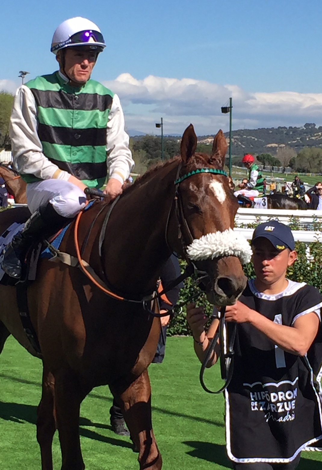 Martul C.B.: Vence y convence WILD KING, MARTUL 4º y verde GONTZUL...