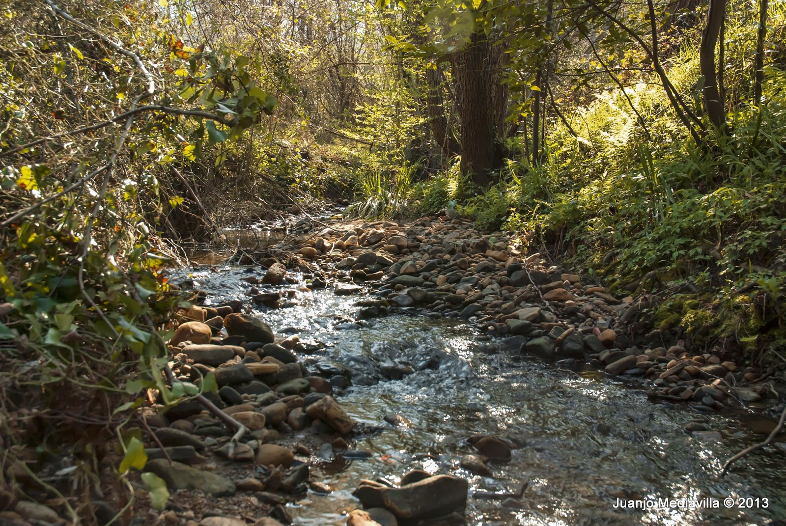 Fotografía Juanjo Mediavilla: Zamudio (Bizkaia)
