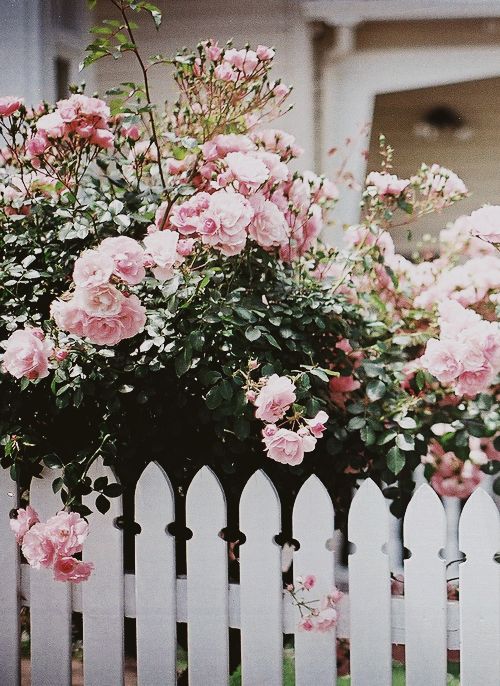 Daily Inspiration —The Edit. | Cool Chic Style Fashion Daily Inspiration —The Edit. | Cool Chic Style Fashion