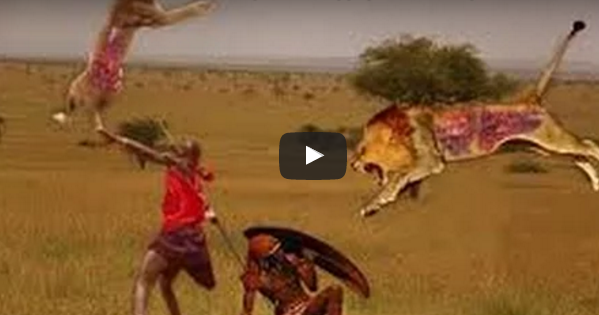 UNBELIEVABLE!! Man vs Lion For Food – Real Fight…!!! - voicekhmer