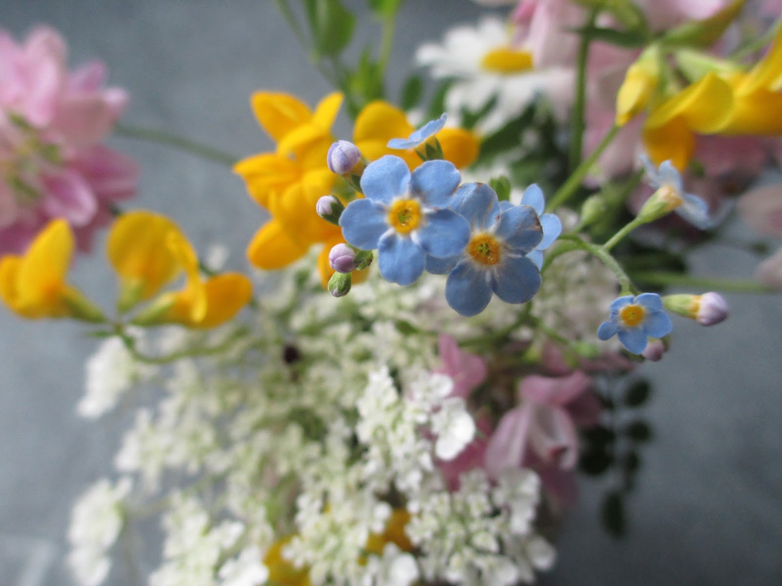 Country Weekend ~: flowers in the country house