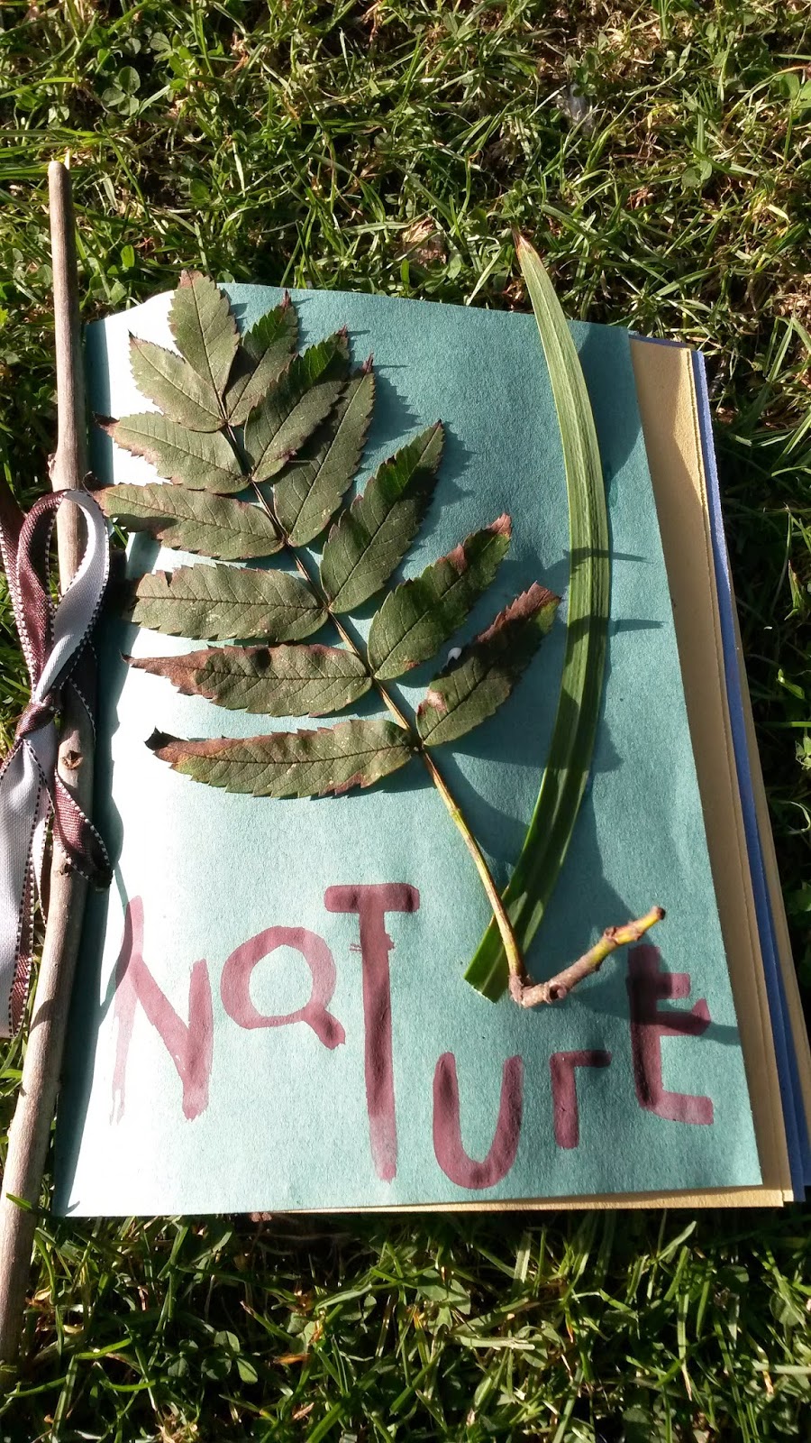 Pirates And Princesses: Nature Journals