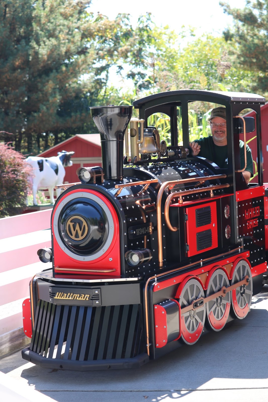 Zoo Exhibits Rides Displays