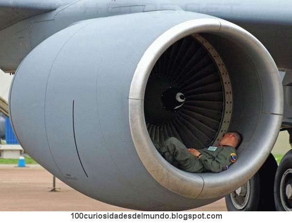 Curiosidades del Mundo: Las 10 fotos e imágenes más curiosas, raras y ...