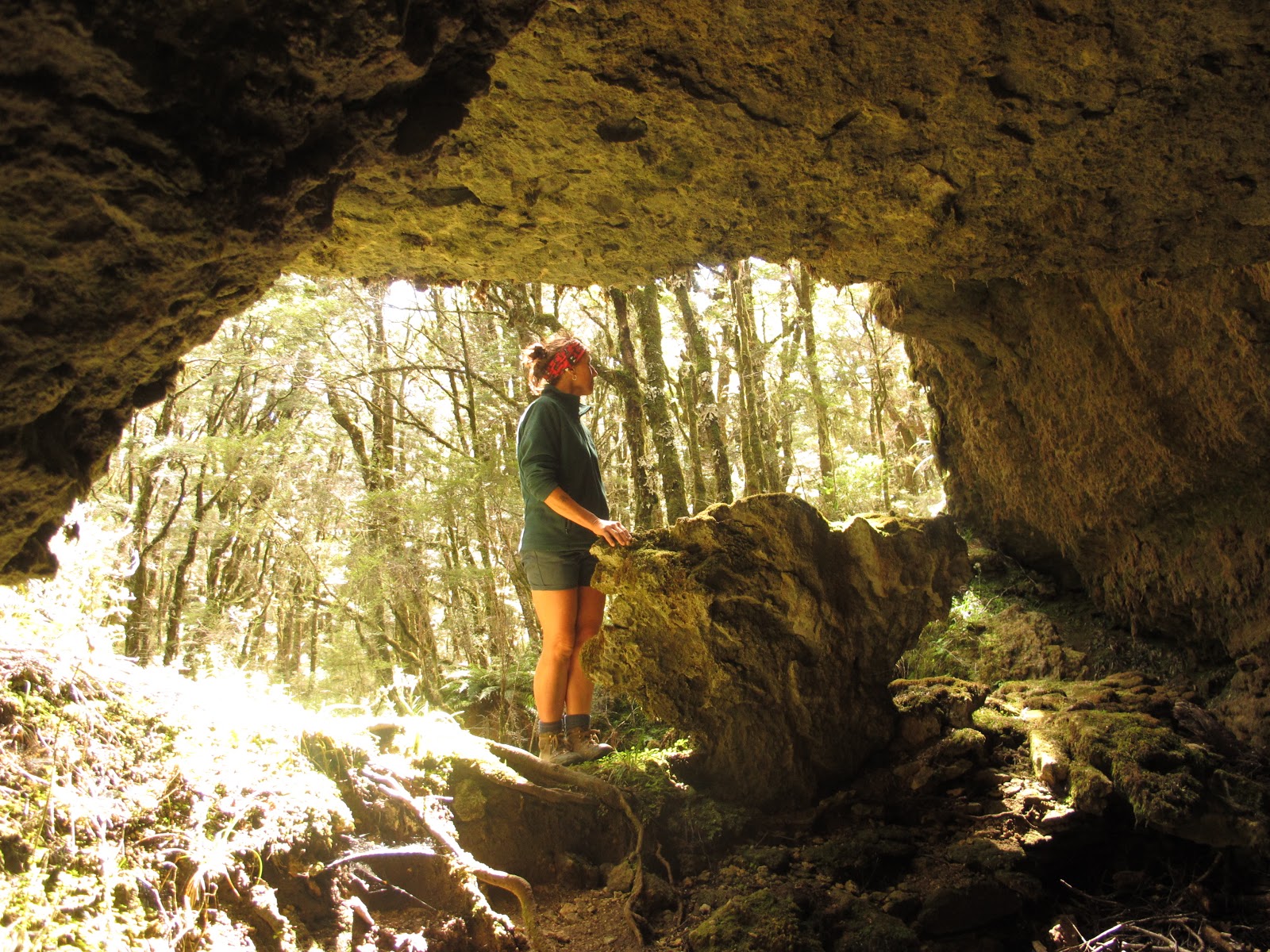 Come, walk with me.: Heaphy Track - day 2 Gouland Downs hut to Saxon Hut