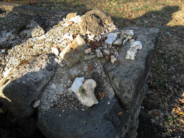 Living Rootless: Dmanisi: First Europeans