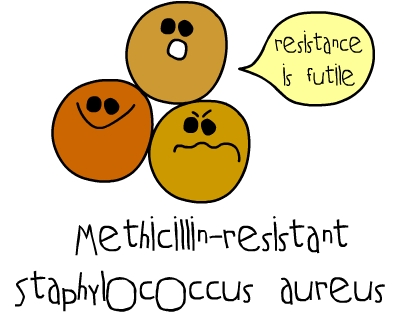 Sports and Microbes: Risks for Athletes