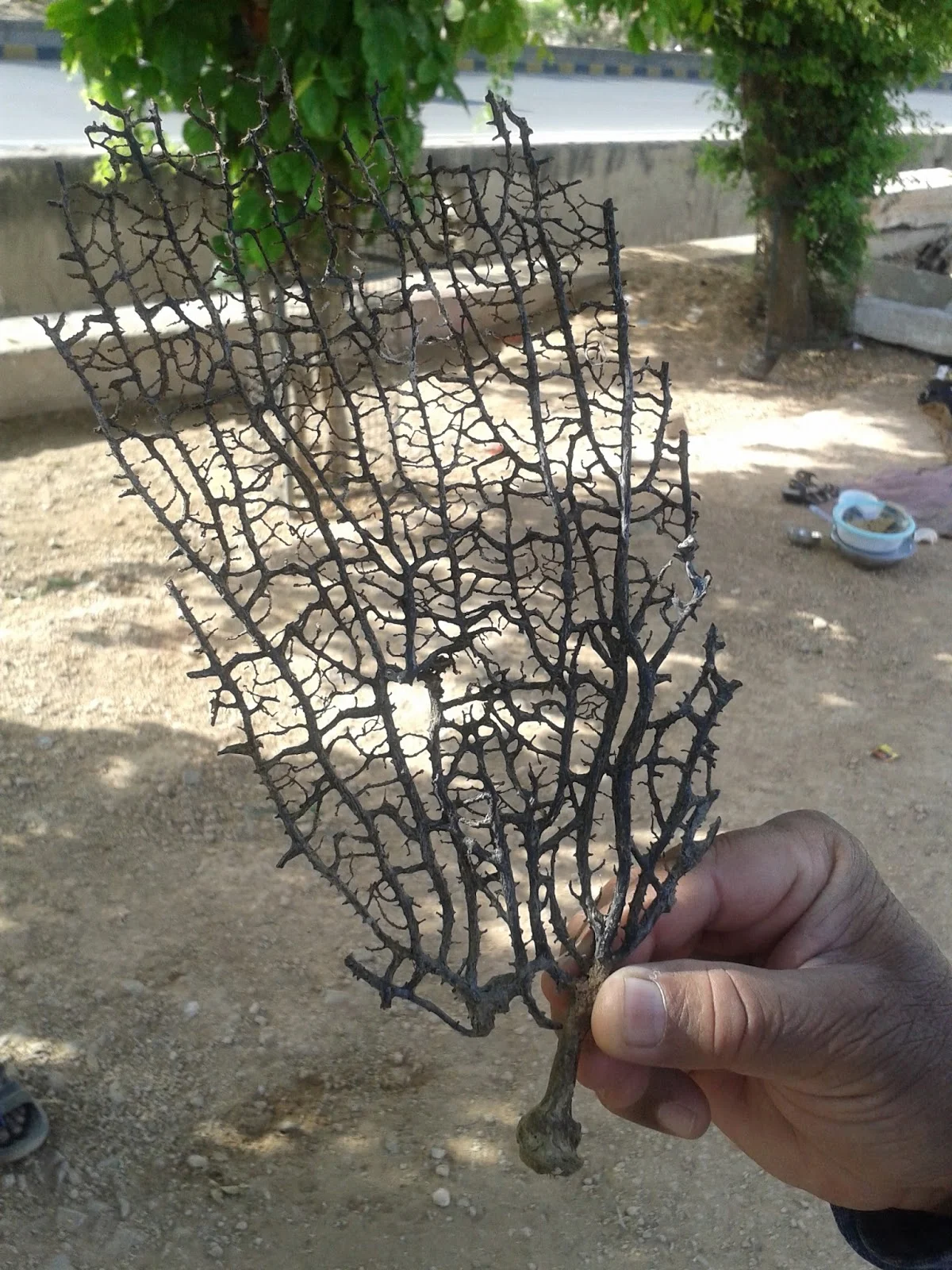 Inderjal For Black Magic, Najar Dosh & Kala Jadu ~ INDIAN PALMISTRY ...