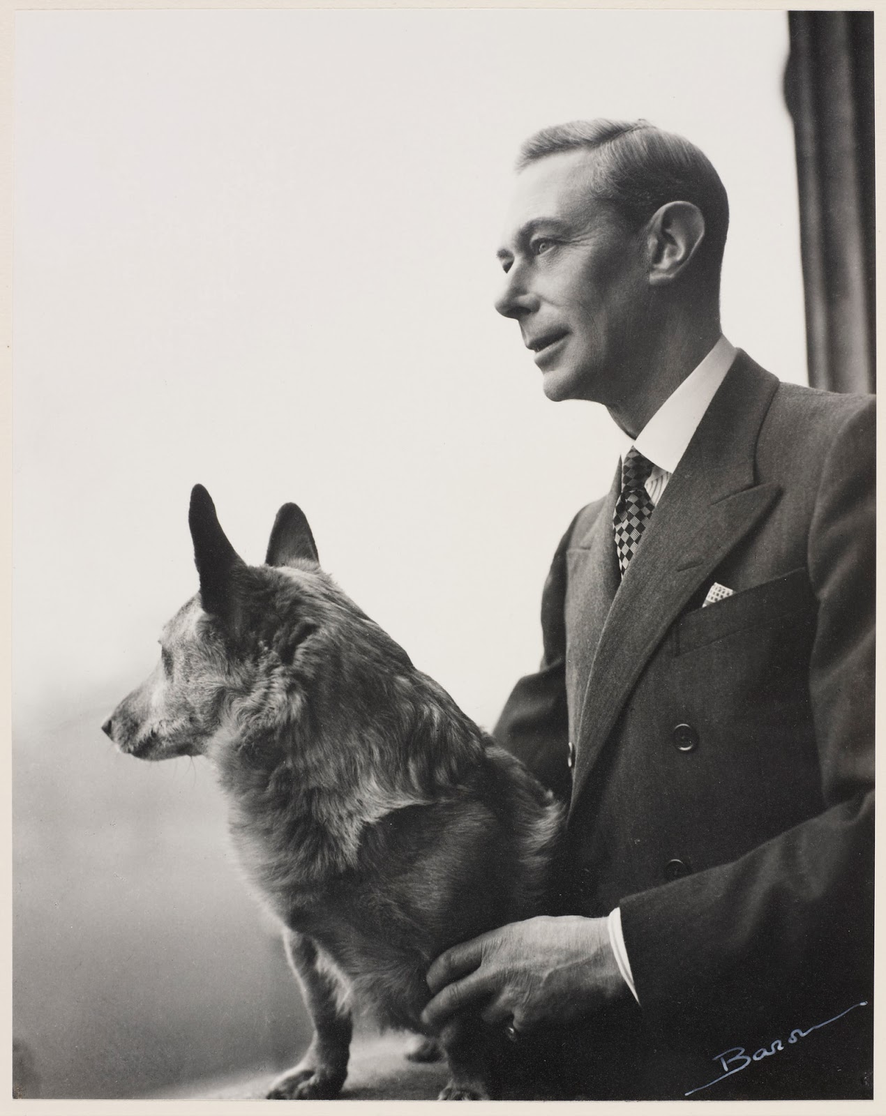 Stalking the Belle Époque: Royal Pets: Two Royal Corgis from 1941 and 1948