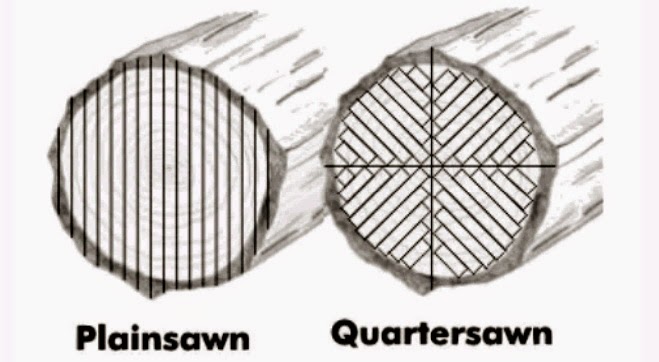 Basic Technology JS3 - xpino SCHOLARS