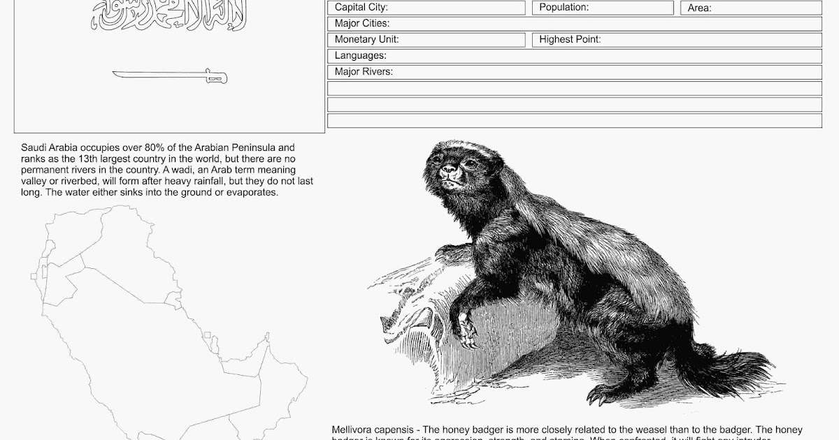 The Nations of the World: Honey Badger - Saudi Arabia