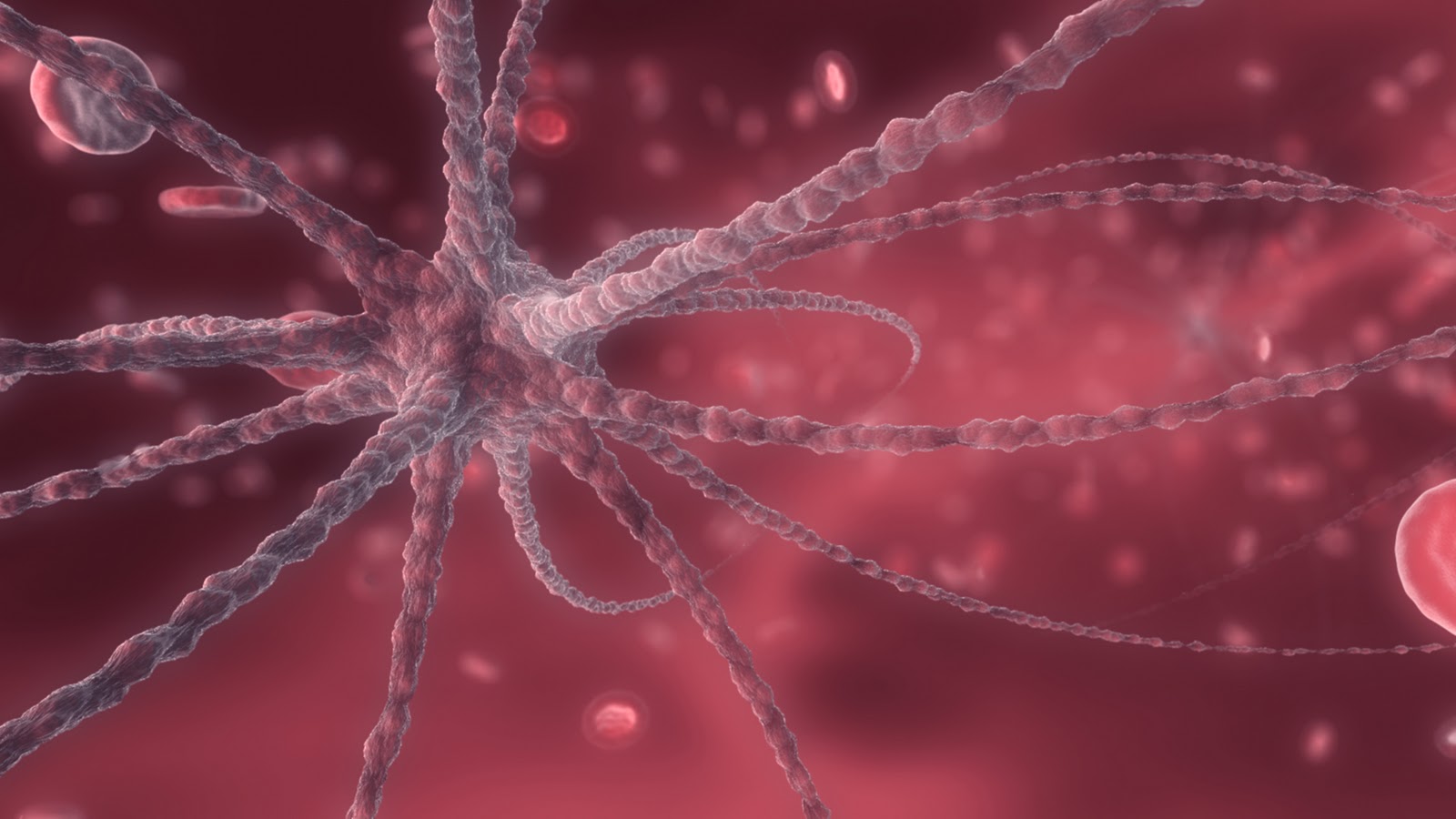 Fondo-Celulas-Bloodcells_1920x1080-HD | Fondos de escritorio Bobiandcompany