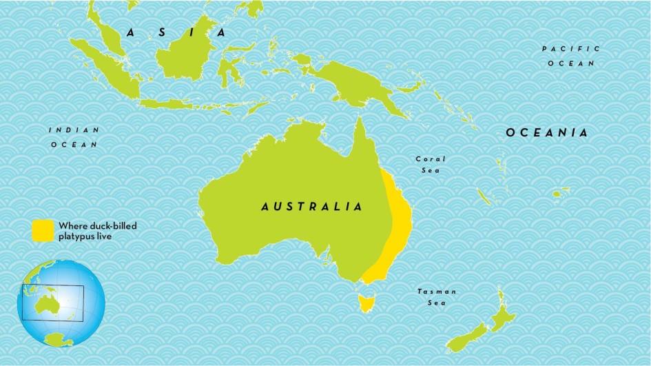 Platypus