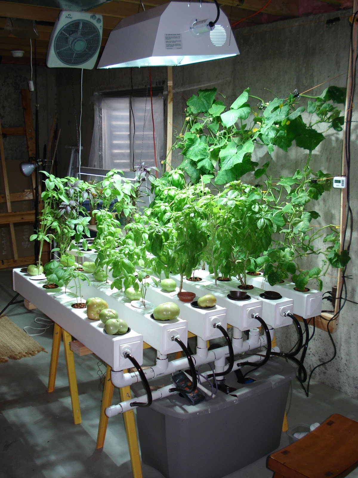 Going to Buy Hydroponic Grow Lights? Here are the 5 Things You Should Know!