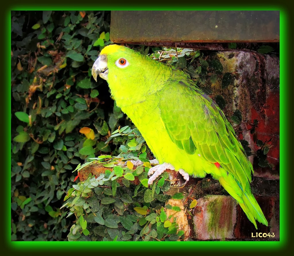 Musica en la escuela ¡una fiesta! 2: enero 2014