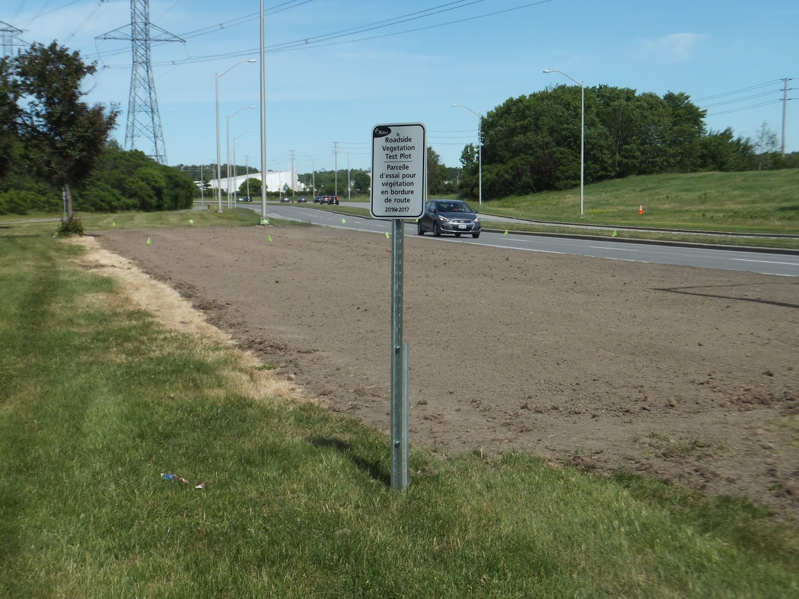 Roadside Field Notes: Roadside Test Plots