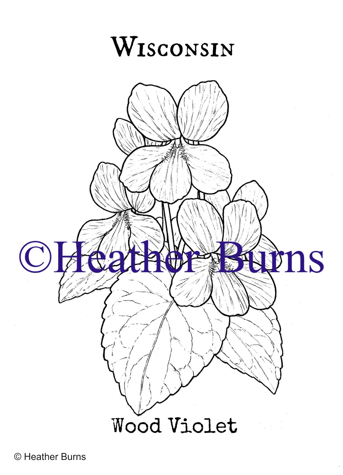 State Flower Coloring Book: 2016