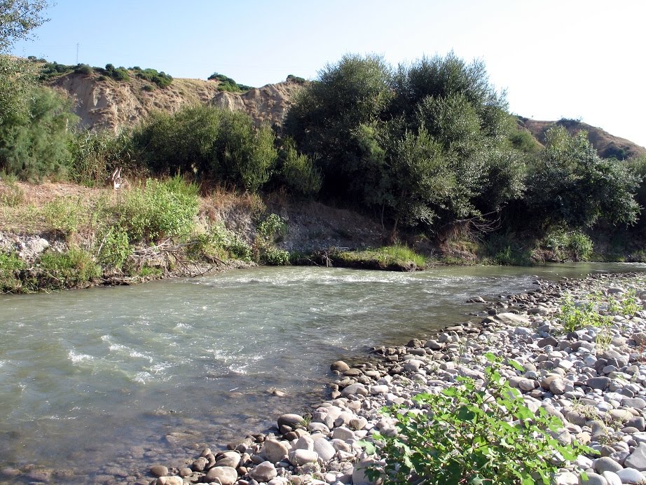 Una vita per la pesca: 11 settembre 2011 - I cavedani del Basento