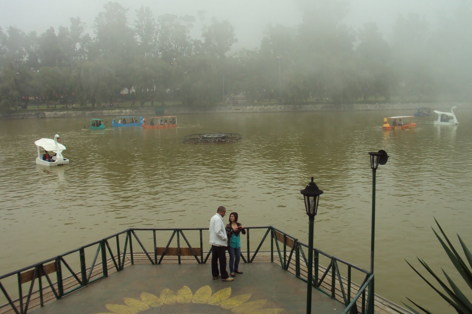 Flowers and Pine Trees: Burnham Park/Lake