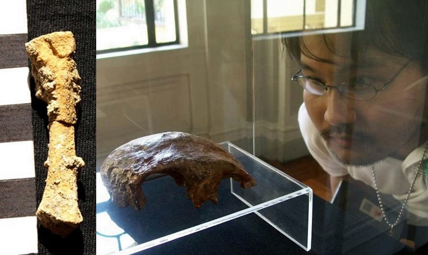 BLOG by Taga-Ilog News: 2011