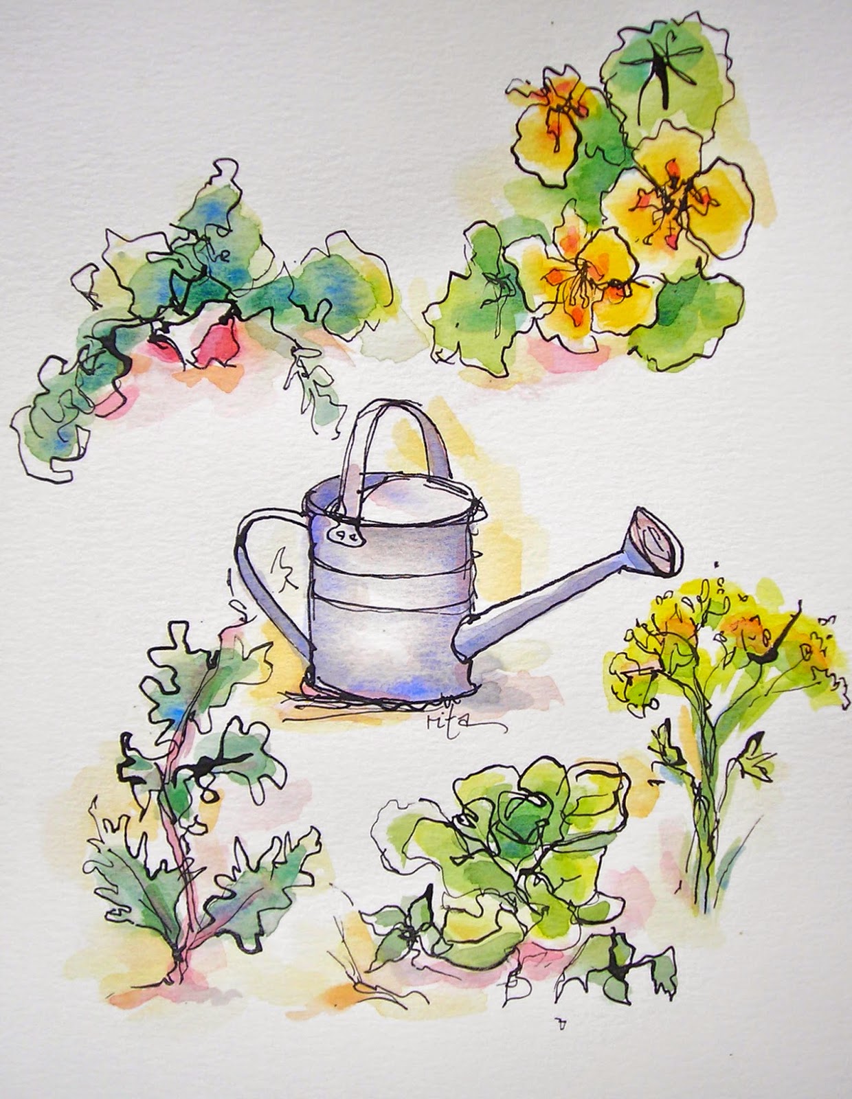 Sketchbook Wandering : Friend's Farm Garden