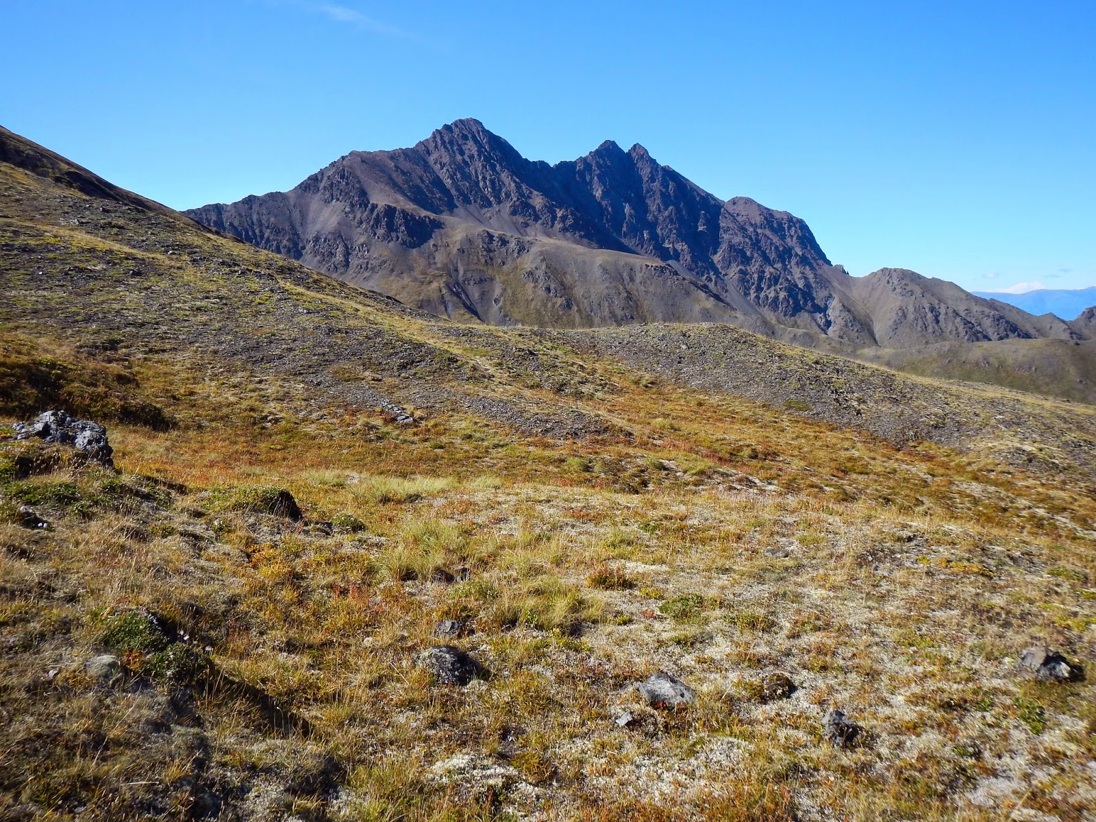Mountain memories: Pioneer Peak Hike