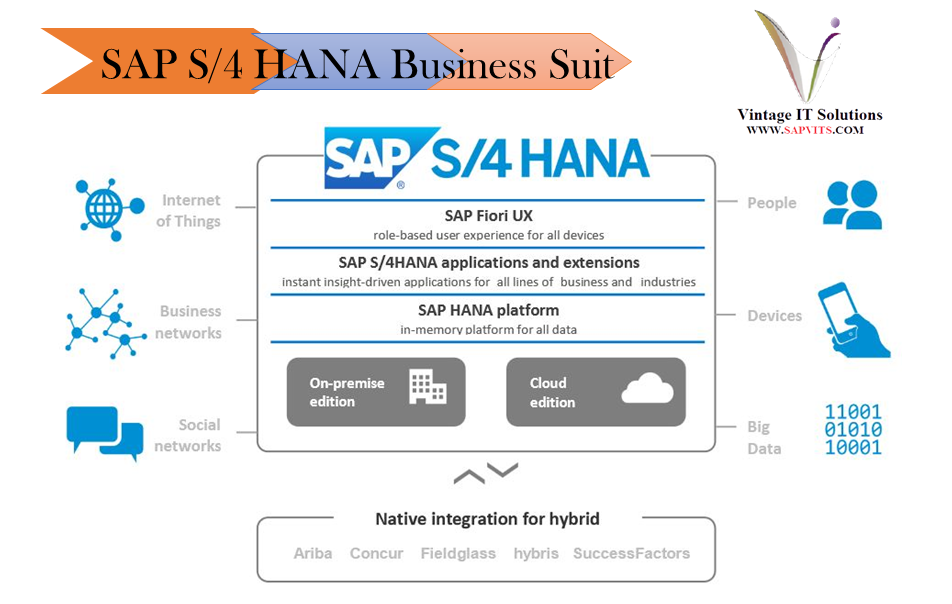SAP S4 HANA: Future Perspectives & Impact on Job Market