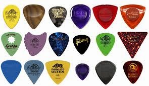 PALHETA, QUAL É A SUA PREFERIDA?