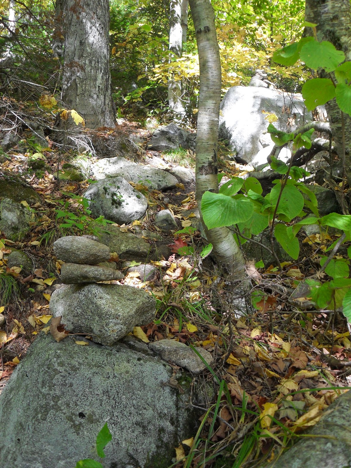 Leave The World Below: TRIP REPORT - The Eaglet and The Watcher ...