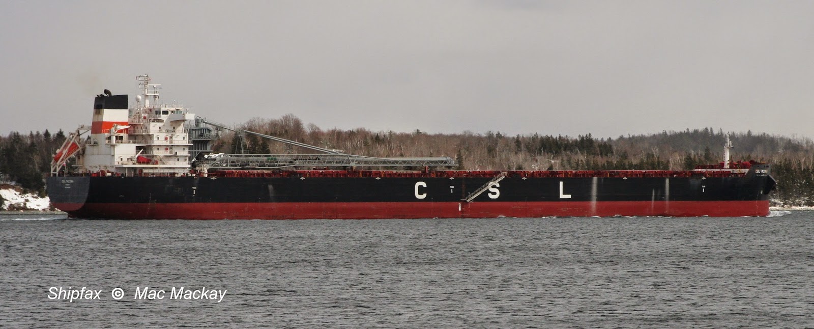 Shipfax: Louis, Maria, Graceful Leader, CSL Tacoma - playing catchup