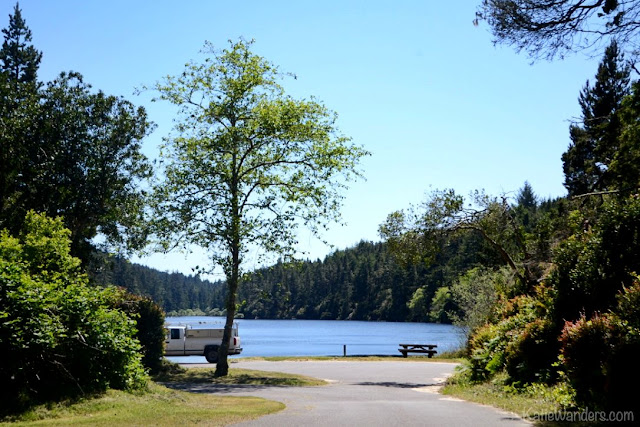 Katie Wanders : Day 3: Oregon Dunes National Recreation Area