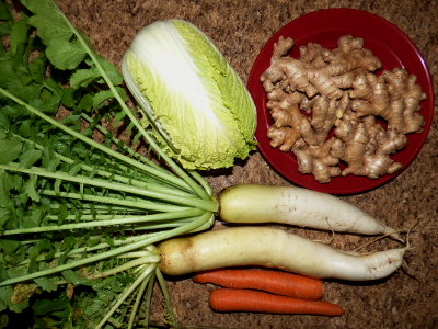 5 Acres & A Dream: Experimenting With Daikons