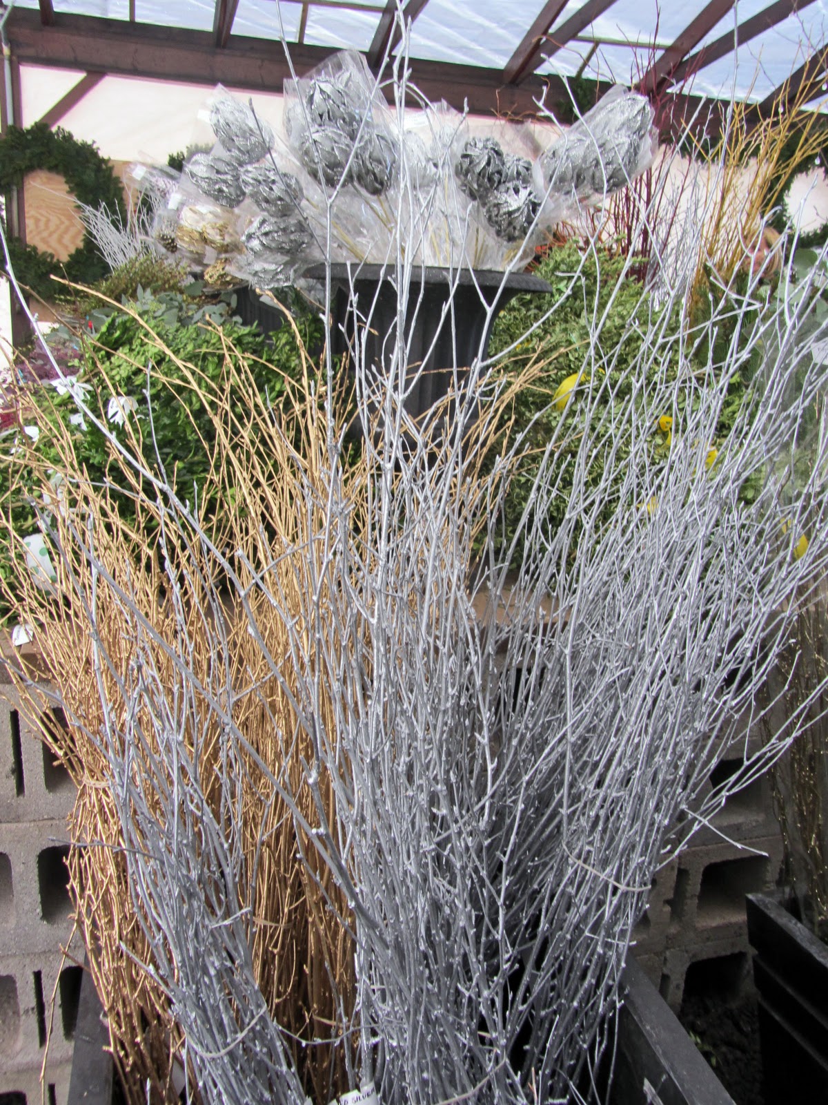 Gatsbys Gardens: Nov 14, 2011