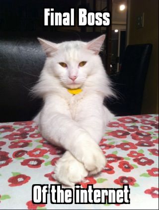 Final Boss of the Internet | Funny Cat Pictures