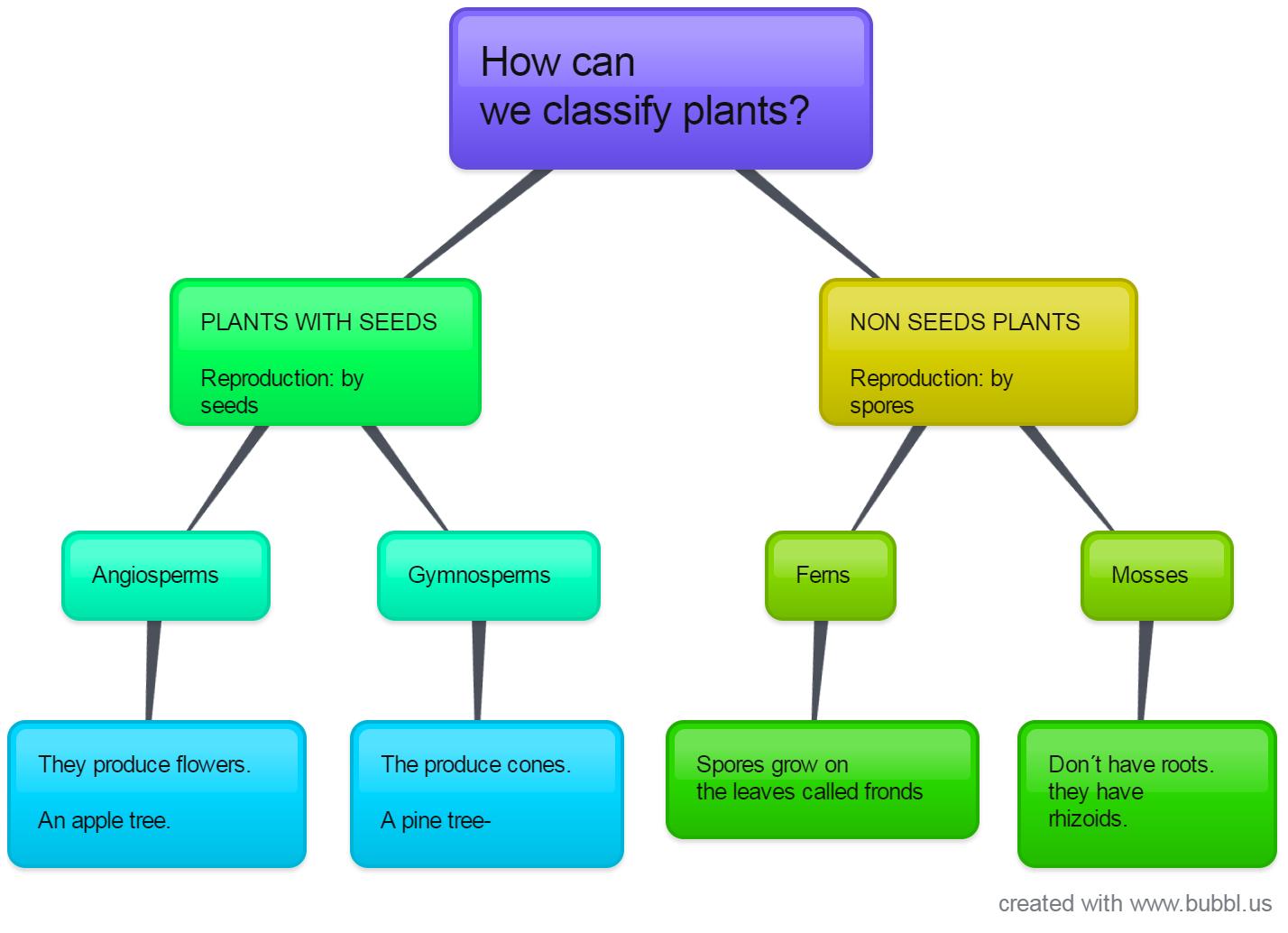 We love learning!!!.: A new mind map about plants.