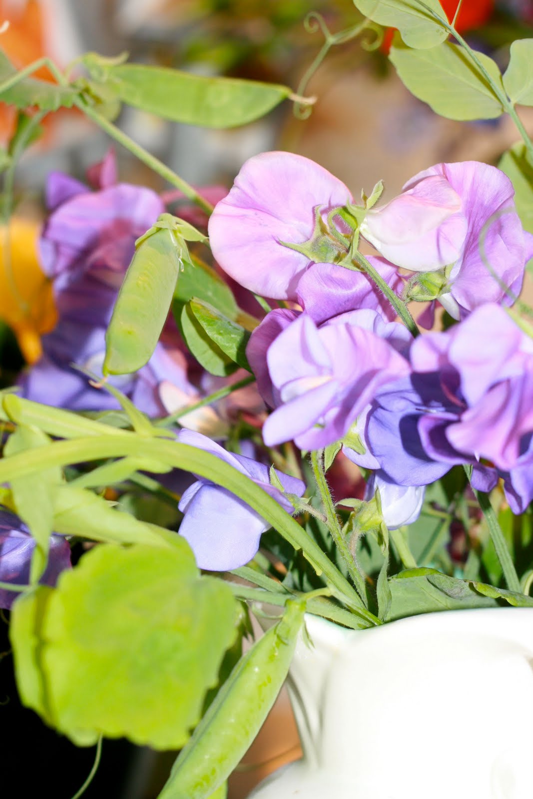 The Polished Pebble: Sweet Pea Trellis