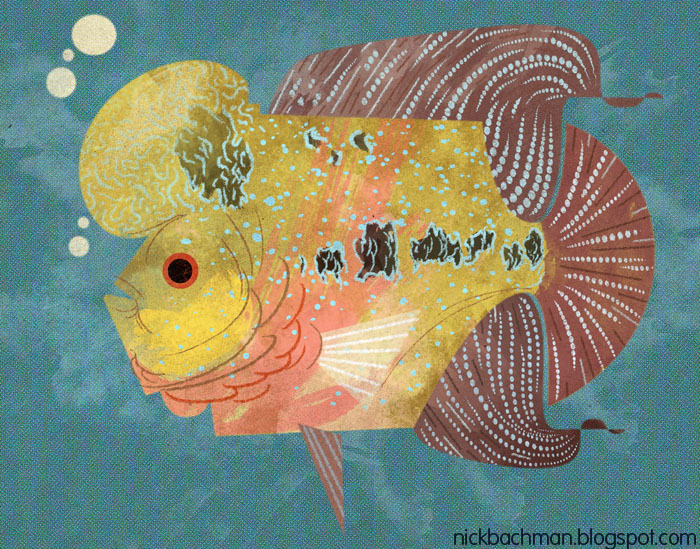 Cool Pictures: Funny fish wallpaper clipart pictures Gallery new ...