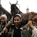Buy Goats Cows Bakra For Sacrifice On Eid Ul Adha Online - Articles ...