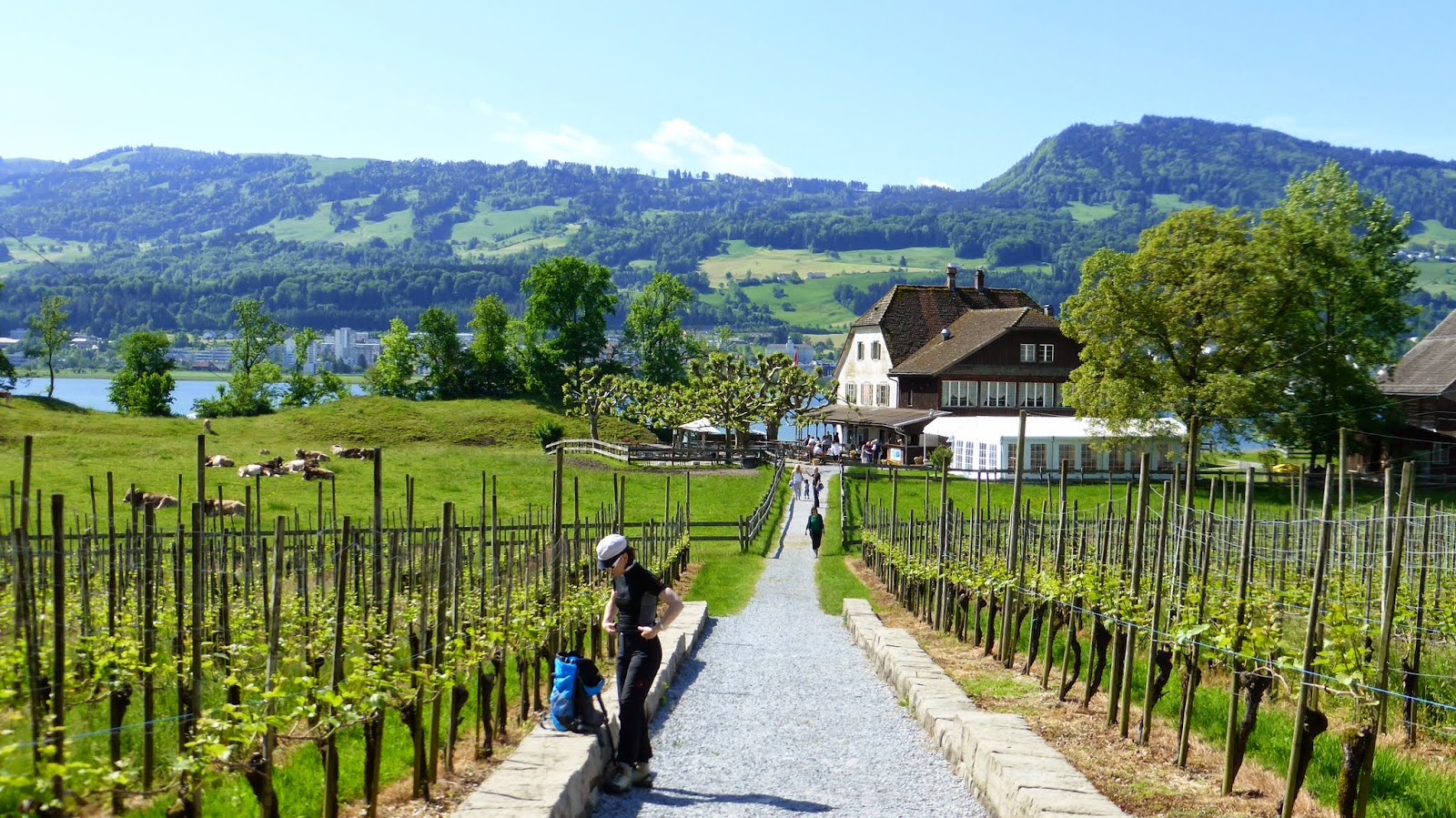 Pfannenstiel Wanderblog: Insel Ufenau & Halbinsel Au (Zürichsee)