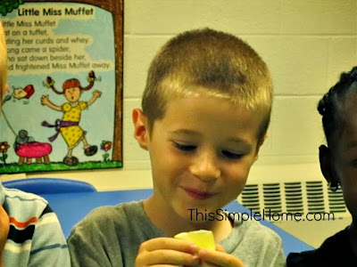 Lemon Science Experiments - This Simple Home