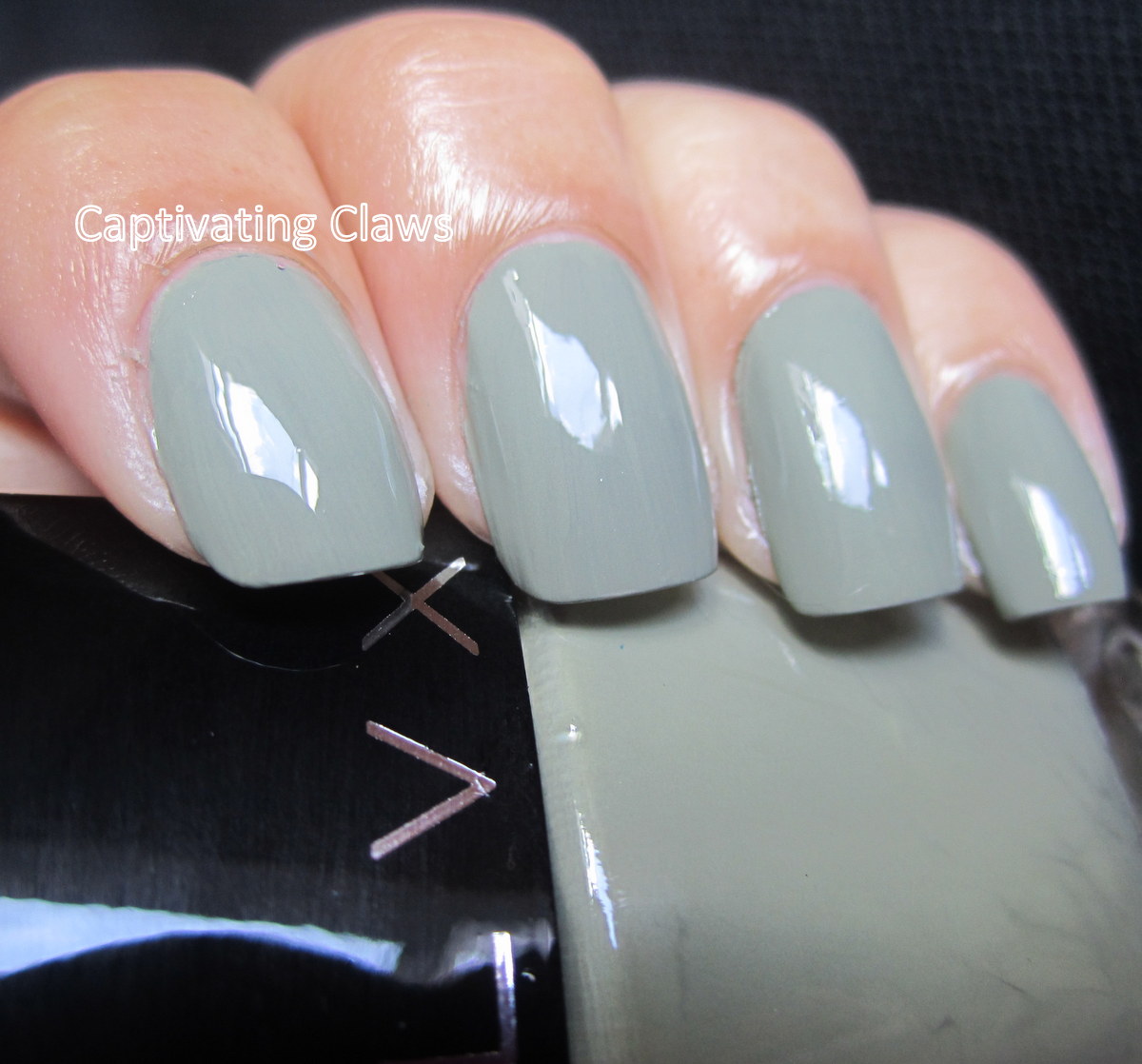 Captivating Claws: LVX Avireo and Callais