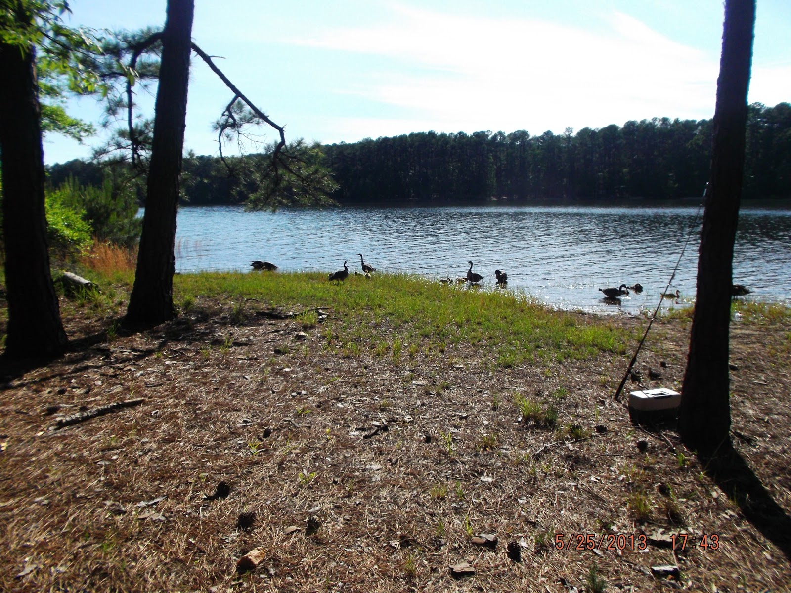 On the Road with Bill, Bunky and the Booze: Hamilton Branch State Park, SC