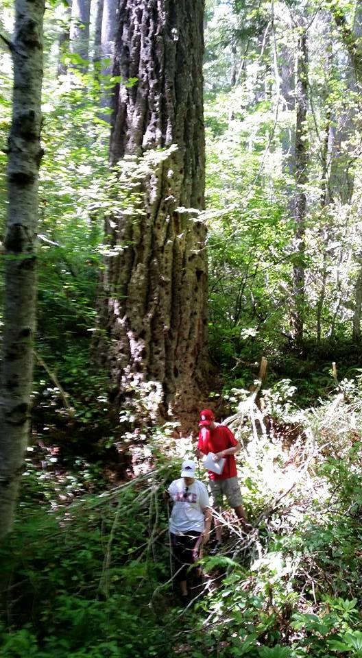 BIGFOOT'S bLOG: What to Do and Not to Do when Visiting the Patterson ...