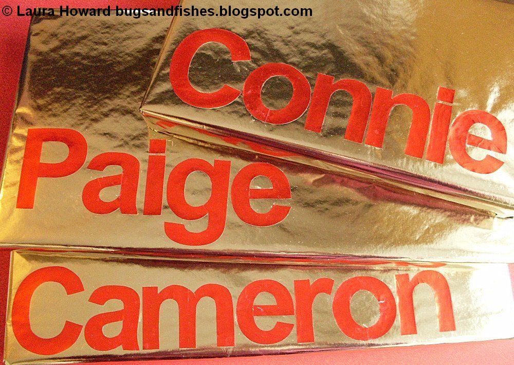 Bugs and Fishes by Lupin: Gift Wrap Ideas # 6: Fun with Fonts