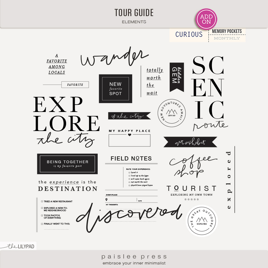 Tracey Holdyk: Travelogue templates by Paislee Press...